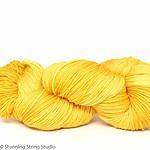 Pineapple | Stunning String Studio