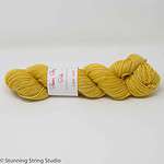 Curry | Stunning String Studio